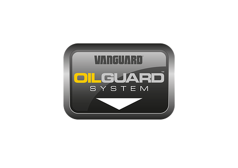 Vanguard™ EFI Engines: The Ferris AdvantageFerris Mowers UK
